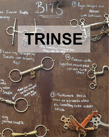 Trinse - Horse & You
